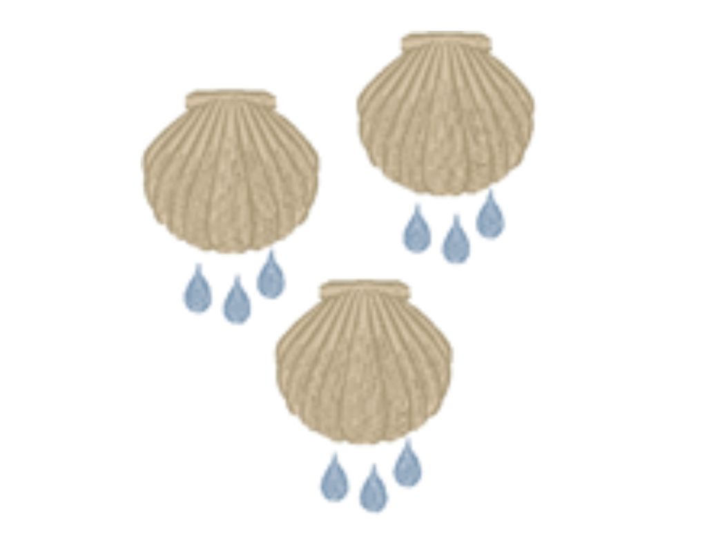 Shells as Religious Symbols and the Meaning of Life - Christa’s South ...